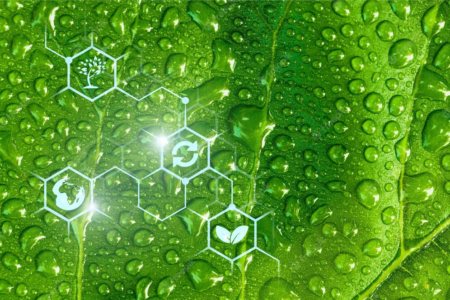 Corteva Agriscience to launch novel Herbicide Active Ingredient brand ...