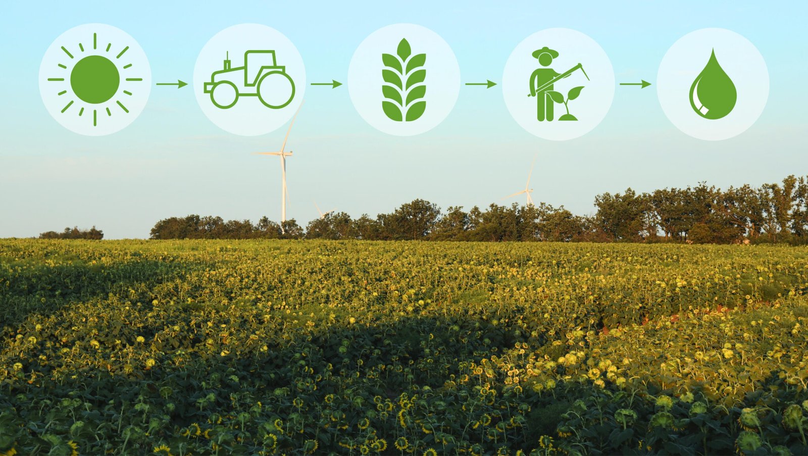 Australia unveils first National Agricultural Traceability Strategy to ...
