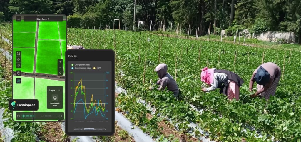 Taiwan's DataYoo revolutionizes precision agriculture with AI Satellite-Powered FarmiSpace ...
