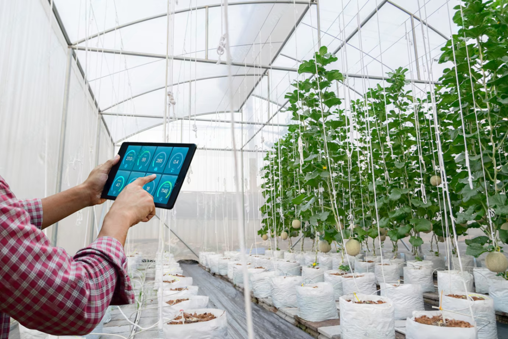CultiWise autonomous crop monitoring system “ScoutAI” recognized as ...