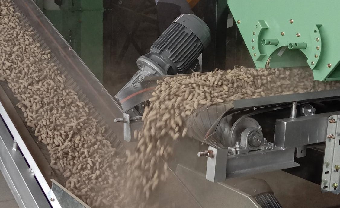 Taiwan promotes a domestic peanut drying center to demonstrate new ...