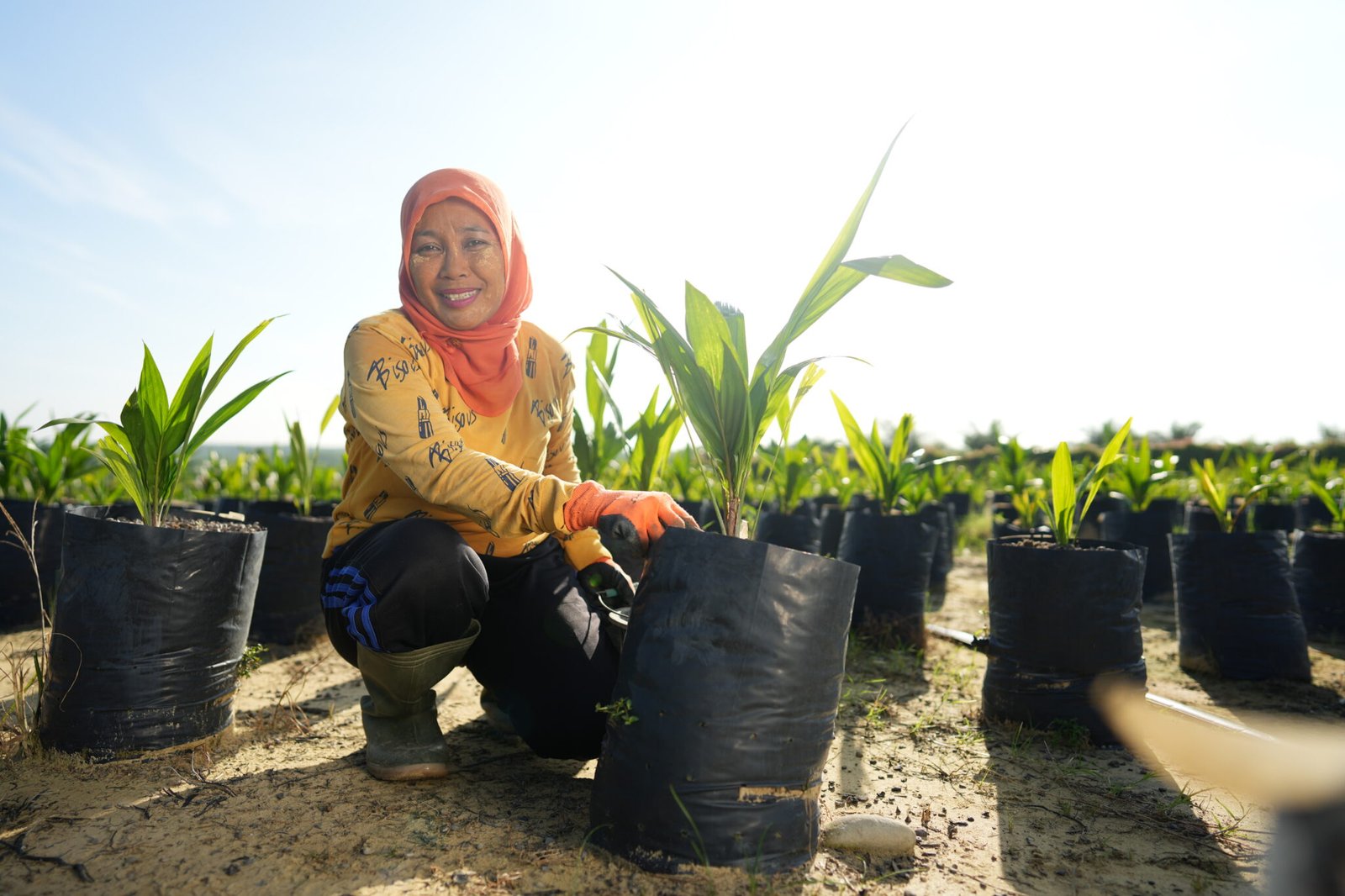 Golden Agri-Resources (GAR) launches MTK seed to strengthen climate ...