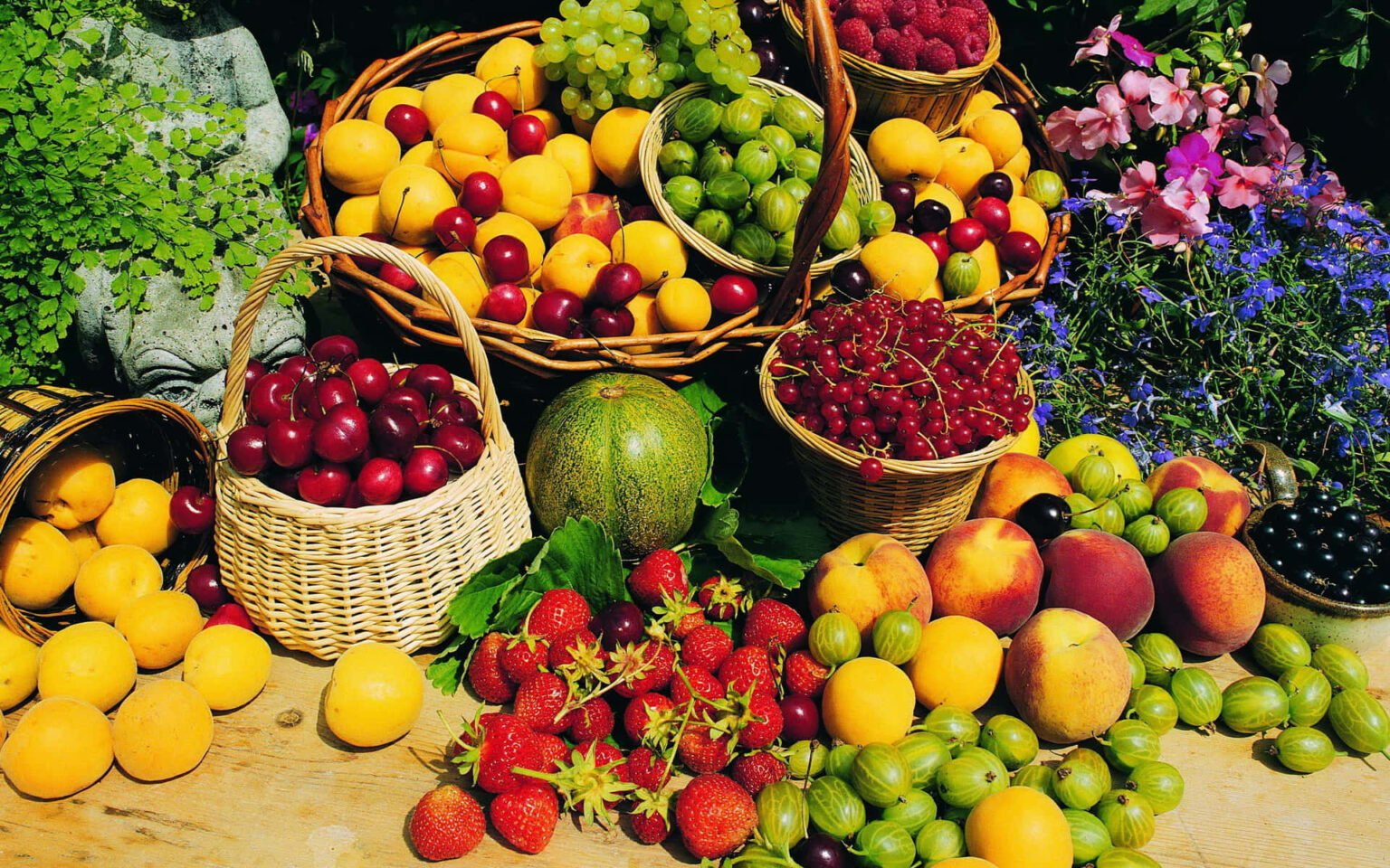 Vietnamese food exporters gain simpler pathway into China’s CIFER ...