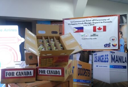 Philippine mangoes reach Toronto as Manila accelerates global export ...