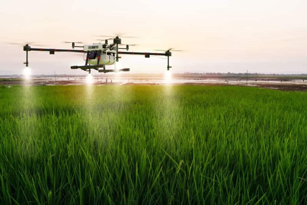 Bernas accelerates digital agriculture push as AI, drones and precision ...