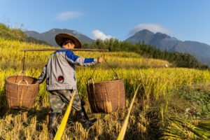 China charts new course for agricultural transformation through 2030 ...